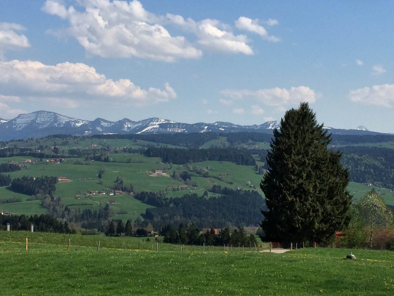 Umgebung - Ferienwohnung Aichstetten im Allgäu